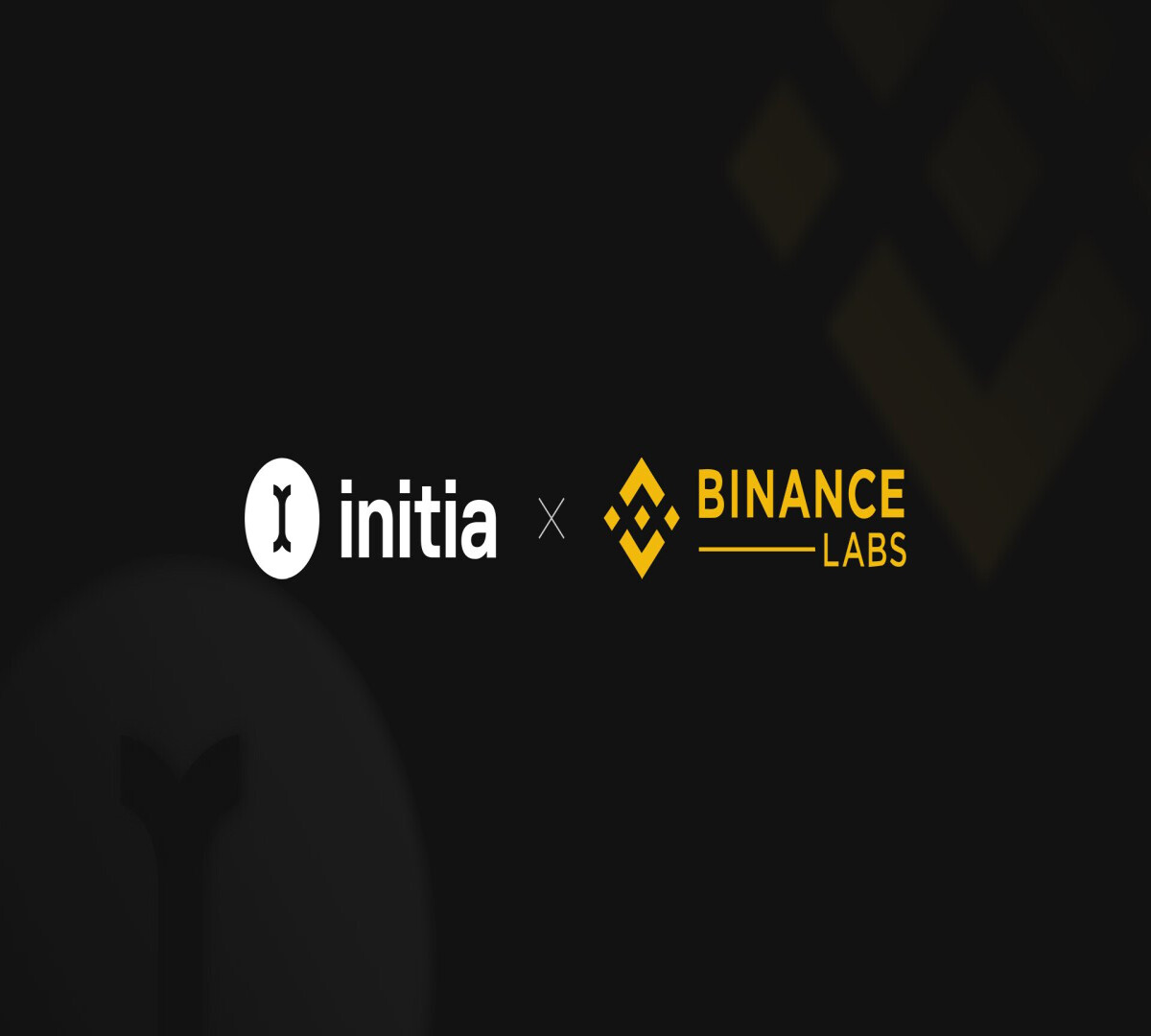 Initia's Rise, NFTs on Skin, and Binance's Strategic Moves | Crypto ...