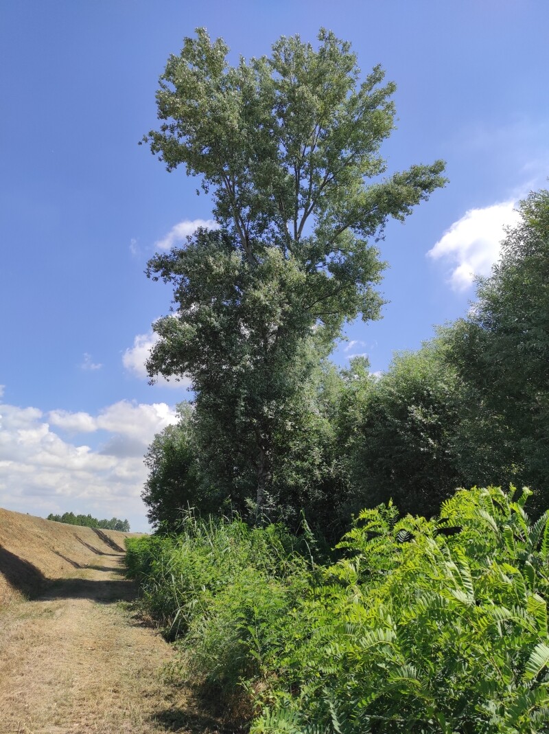 River hiking - River Panaro (Northern Italy) - part six (A plain view ...