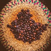 Mind for gold | Publish0x