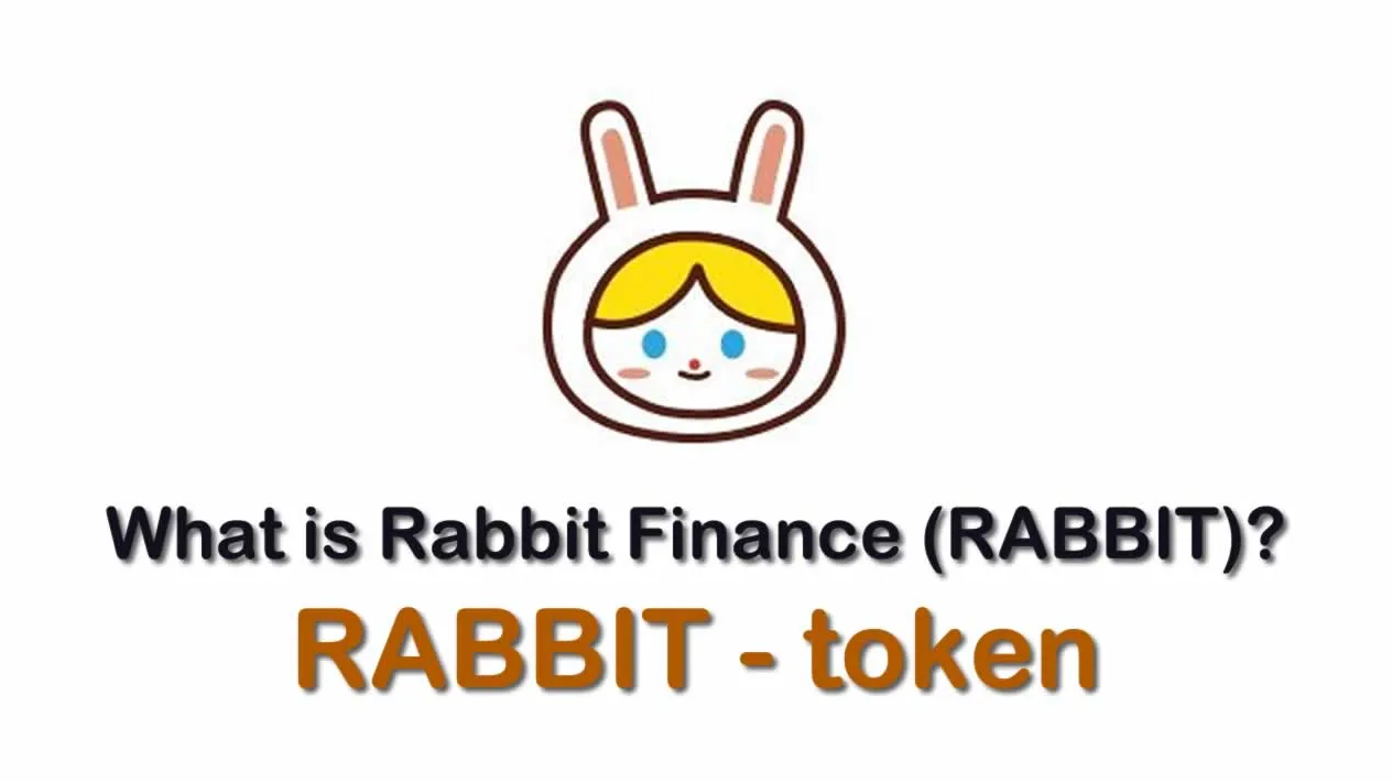 Do you know 🐰 RabbitFinance.io, yield optimizer on BSC?