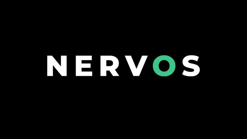 Nervos Network and the Standard for Long Term Sustainability in Public ...