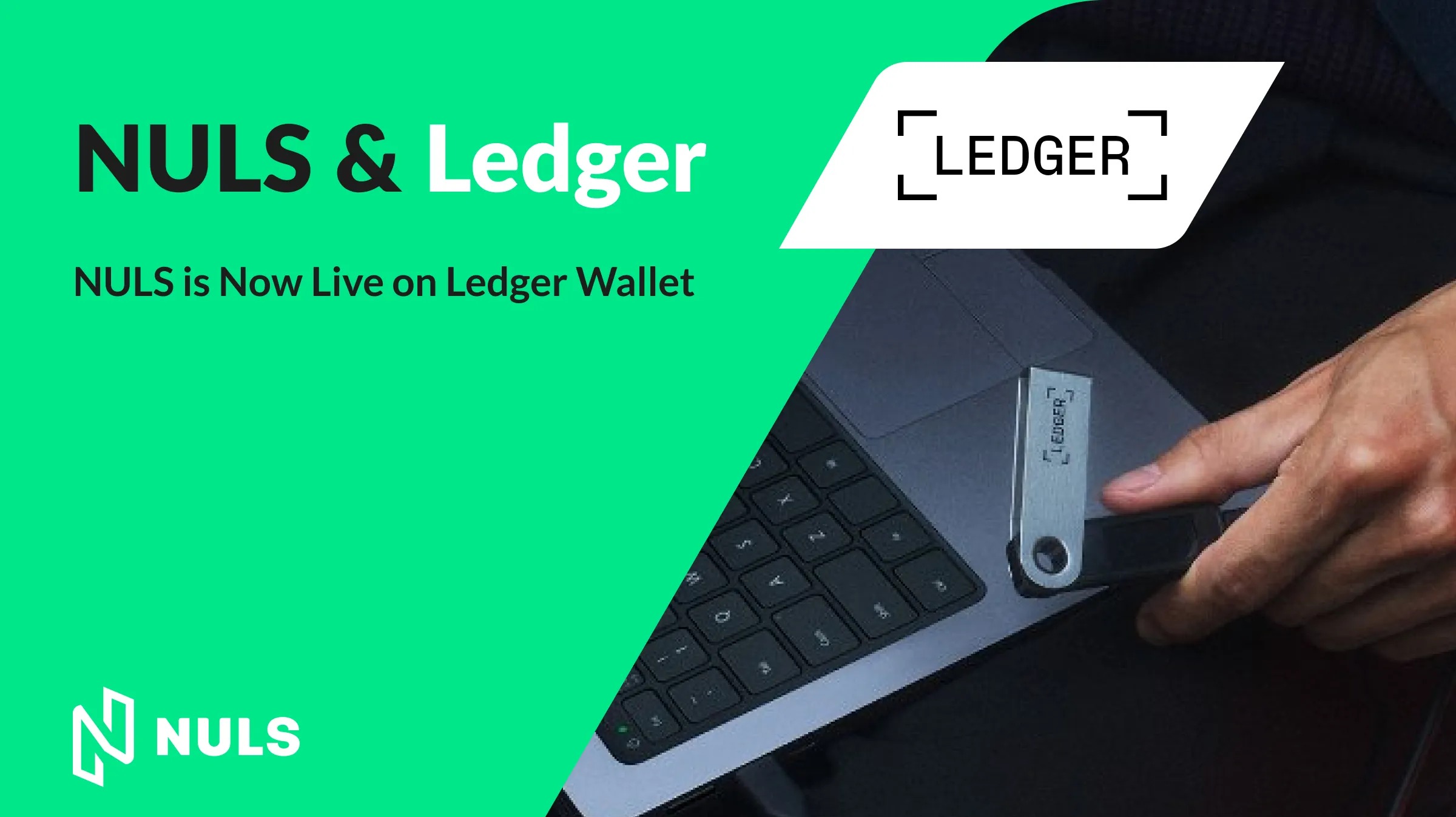 NULS is Now Live on Ledger Wallet