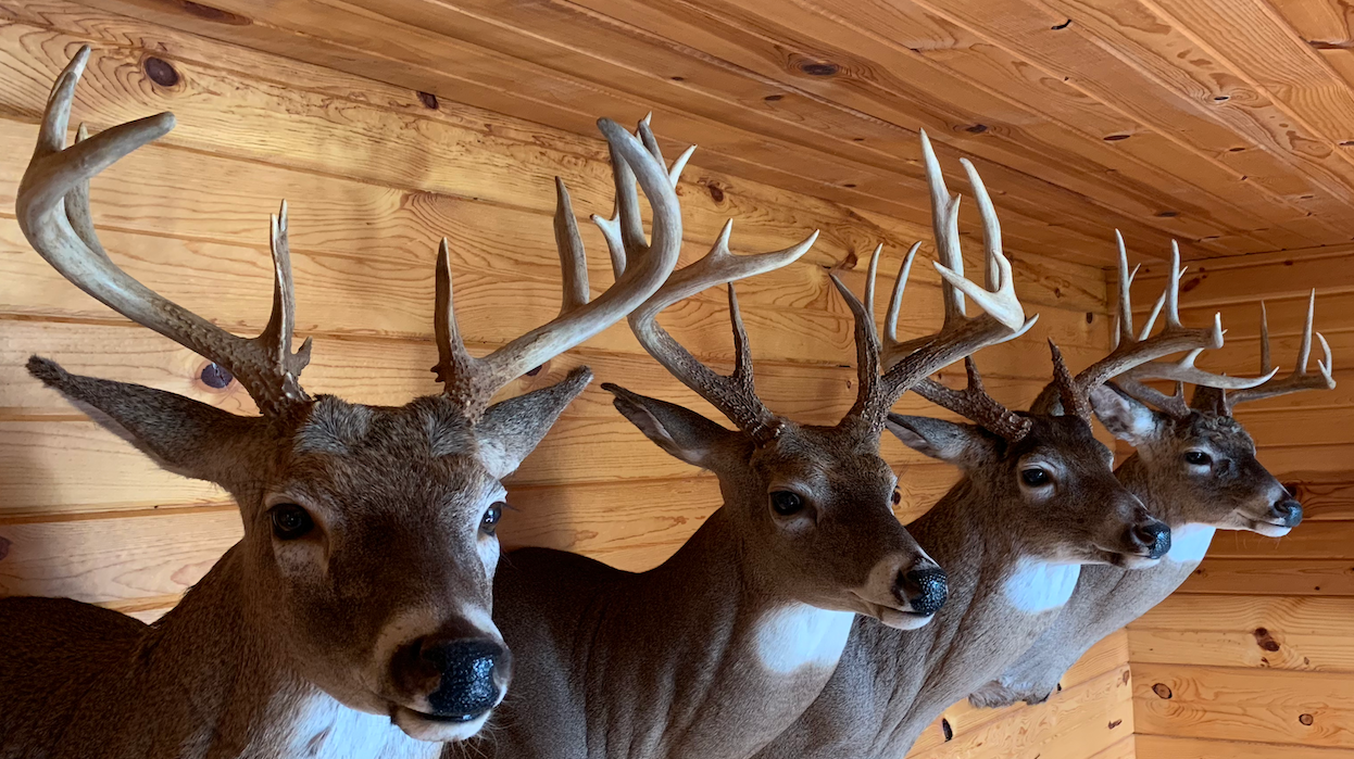 Setting Hunting Goals