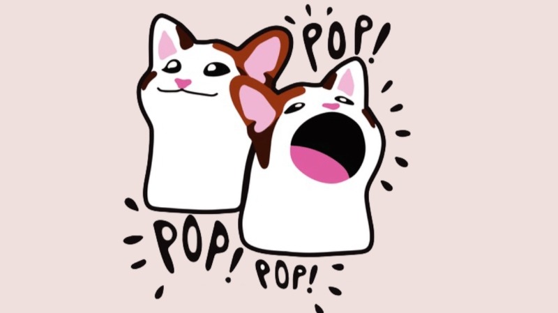 What is POPCAT? Everything You Should Know About The Viral Meme Coin on ...