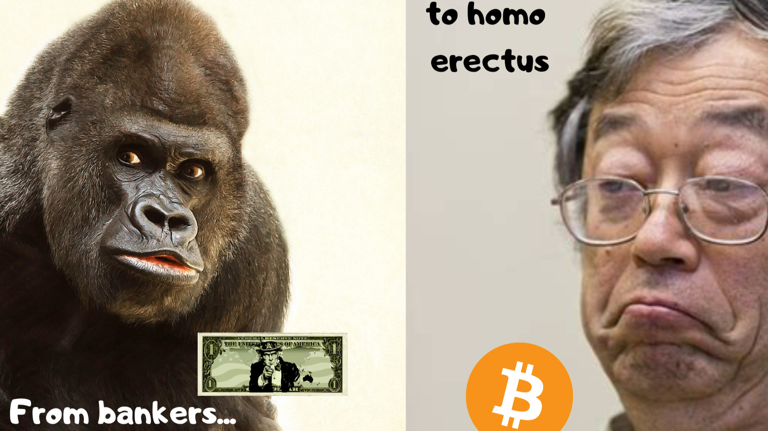 The theory of evolution according to Satoshi Nakamoto