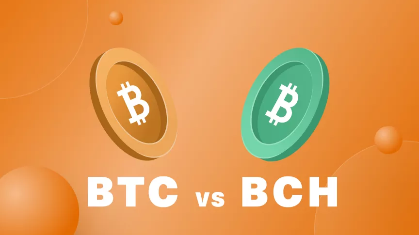 Bitcoin vs. Bitcoin Cash: What Are the Differences?