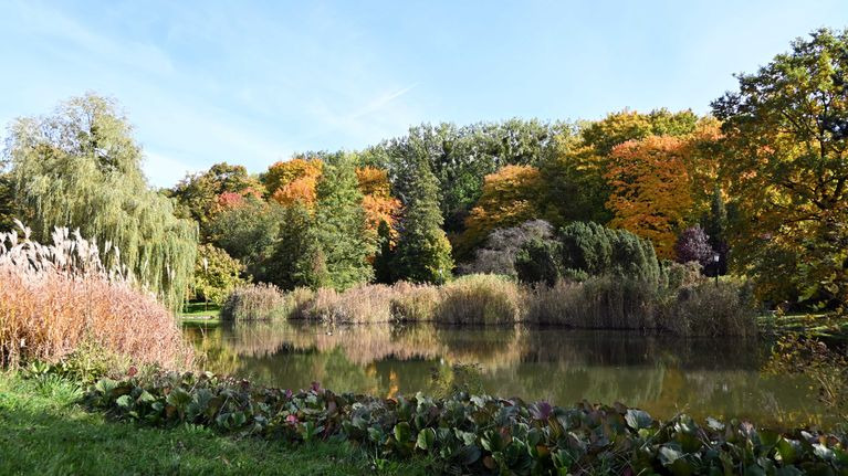 The beautiful Polish autumn will never get boring