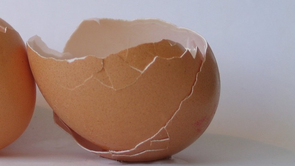 Egg waste generation and emissions Research (english)