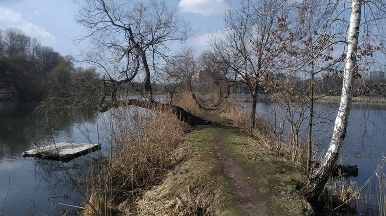 The return of a beautiful sunny spring today without rain - My Actifit ...