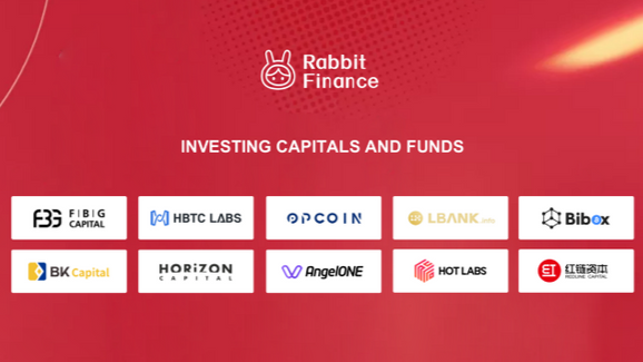 Rabbit Finance (Rabbit) BSC DeFi Project DEX AMM || Leveraged Yield ...