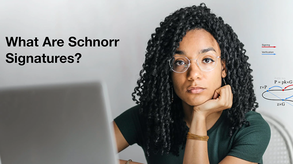 Applying Schnorr Signatures In Bitcoin