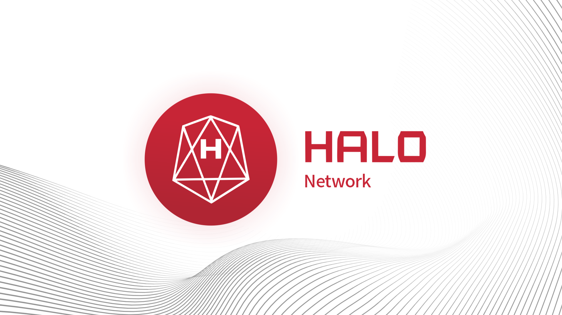 HALO Network: A General Overview