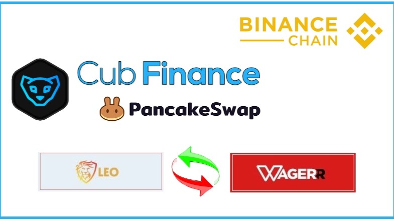 My First Binance Chain Swap (Guide & Personal Experience)