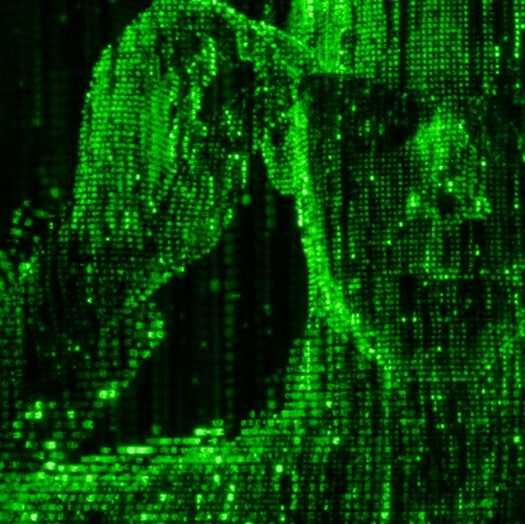 Code_Based | Publish0x