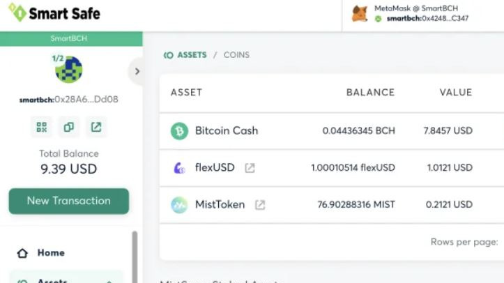 SmartBCH Gets New Wallet - SmartSafe