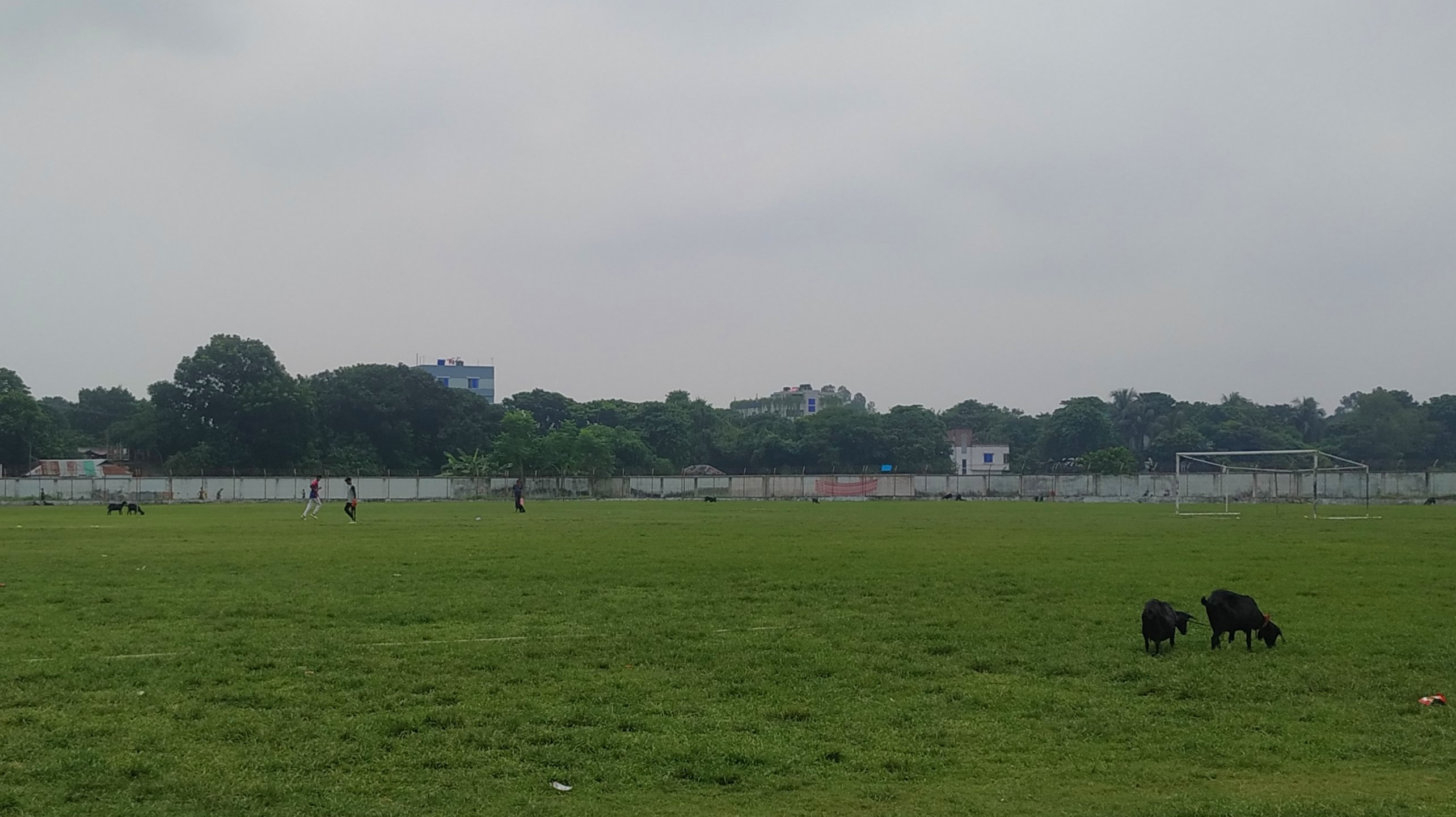 A Glimpse into the Forgotten Playground,Echoes of a Once Vibrant Field