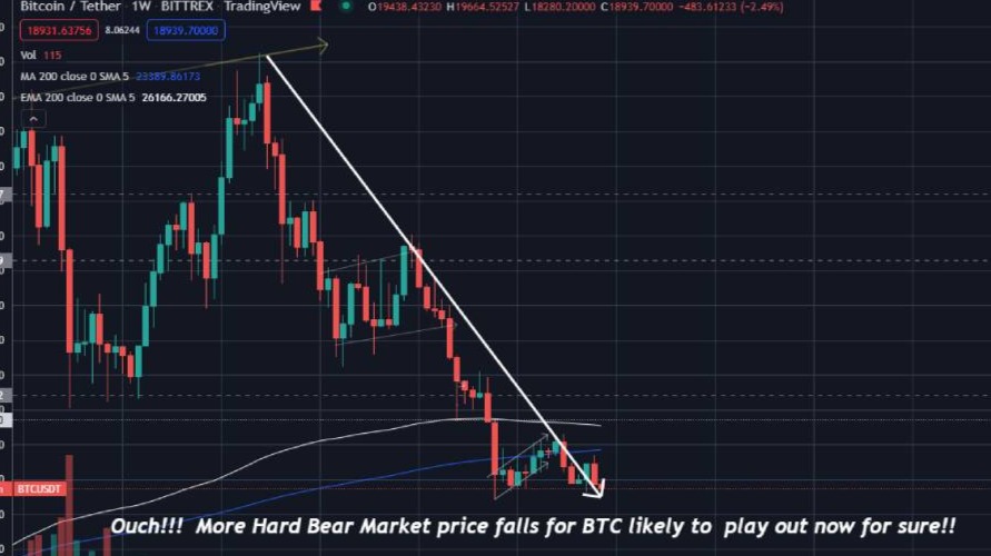 Ouch!!! More Hard Bear Market price falls likely to play out for BTC ...