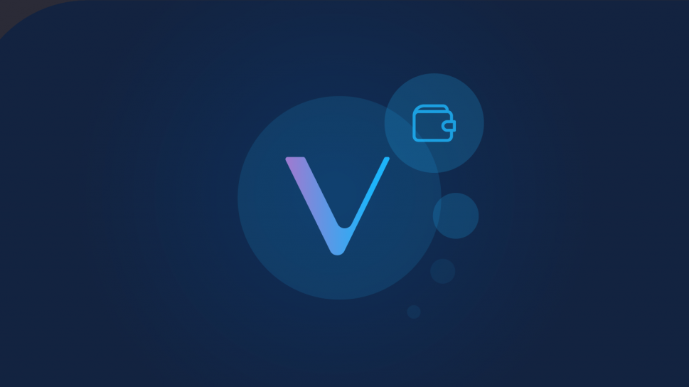 VeChain Coin Wallet 2020