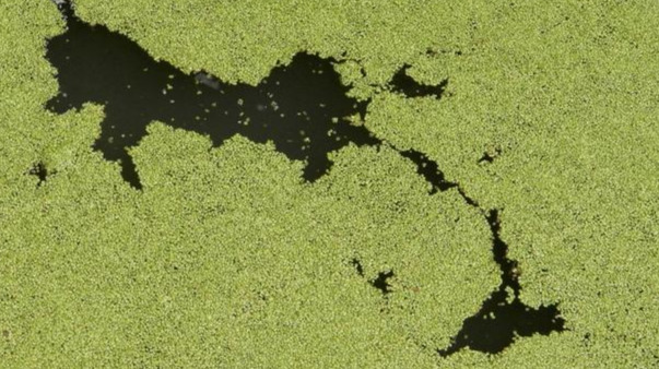 StartEngine Raises That Intrigue Us - April 2023