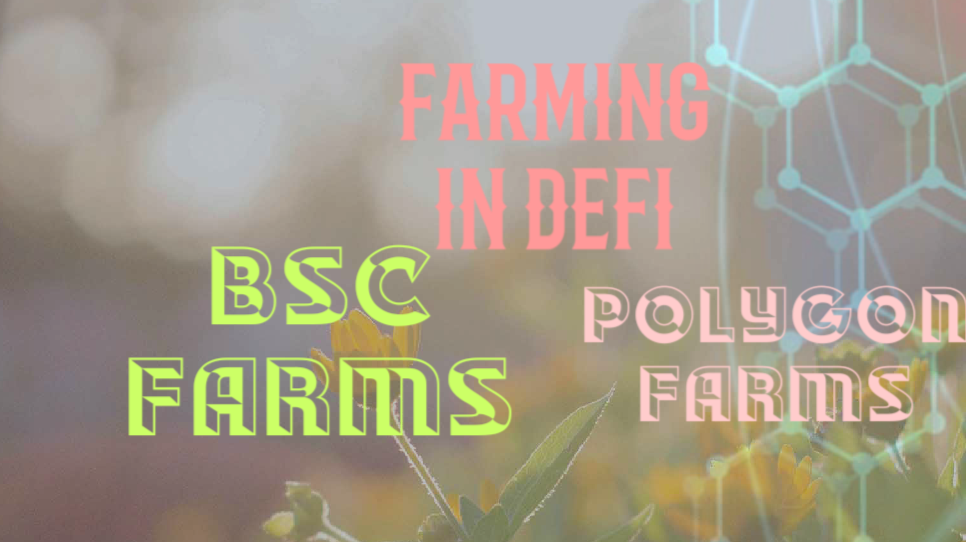 Choosing the right farm in DeFi