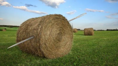 Ethereum: Finding the needle in the haystack - The forgotten pearls ...