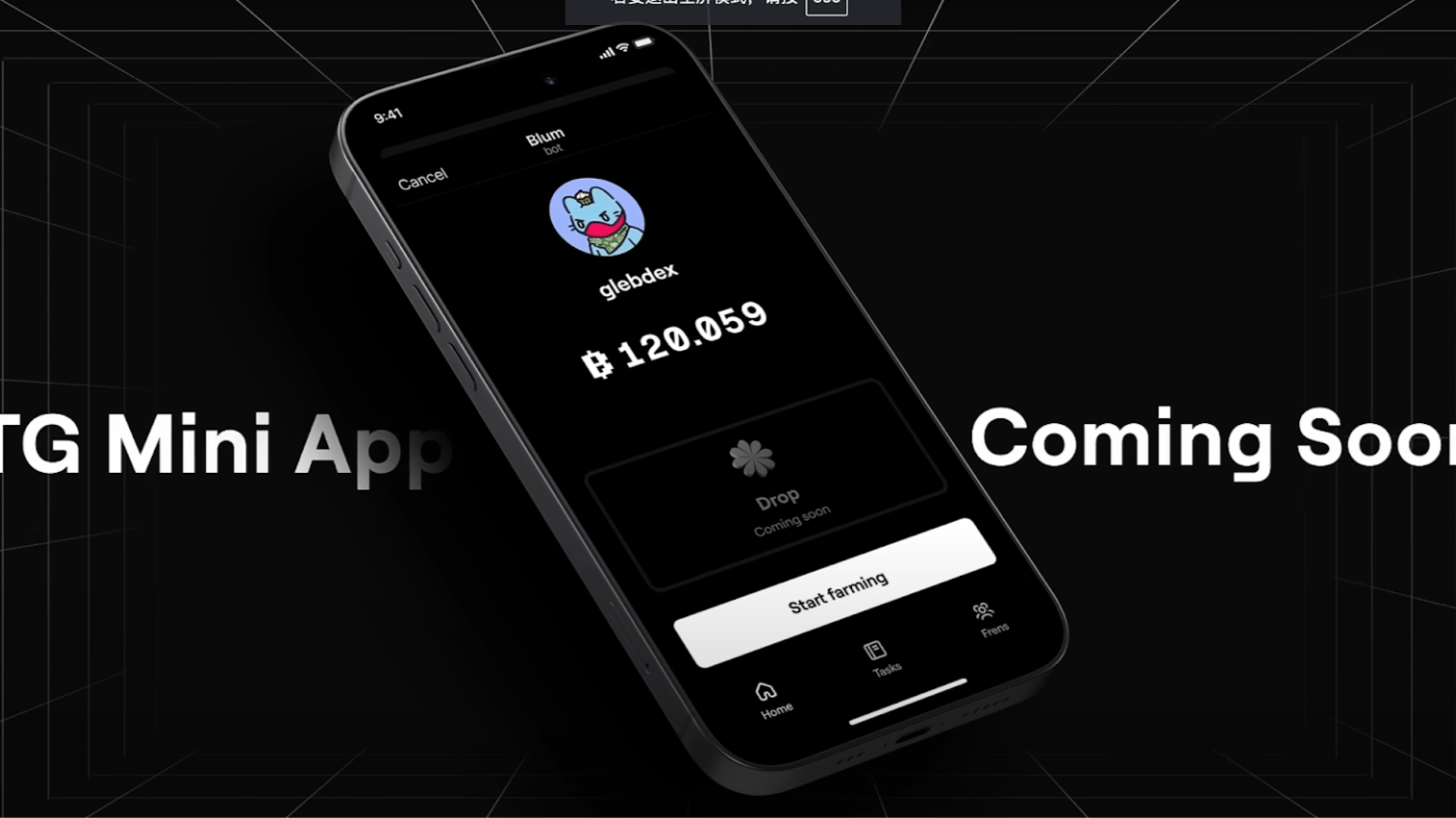 Blum Play Type and Track Code: Full Overview of Blum's Daily Codes