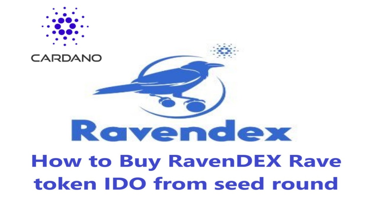 How to Buy Rave Token IDO from Seed Round and Pre-Sale Rounds