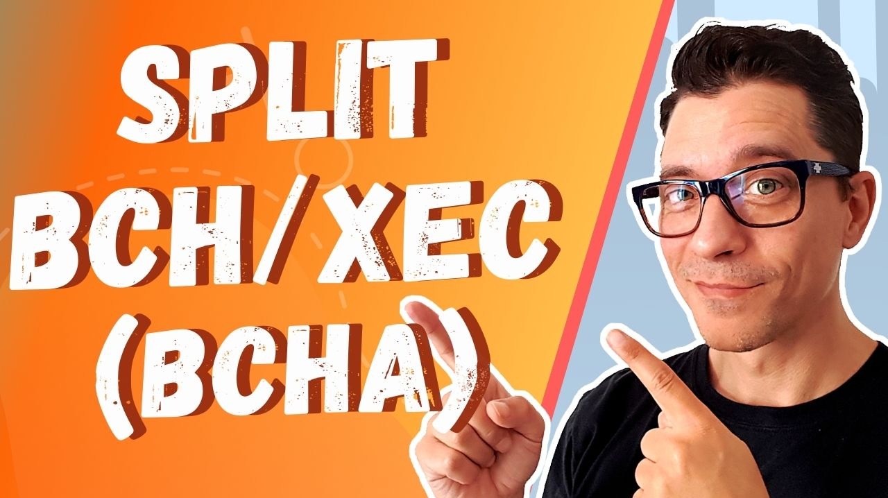 Easiest Way To Claim XEC (BCHA) From BCH (2021 Update)