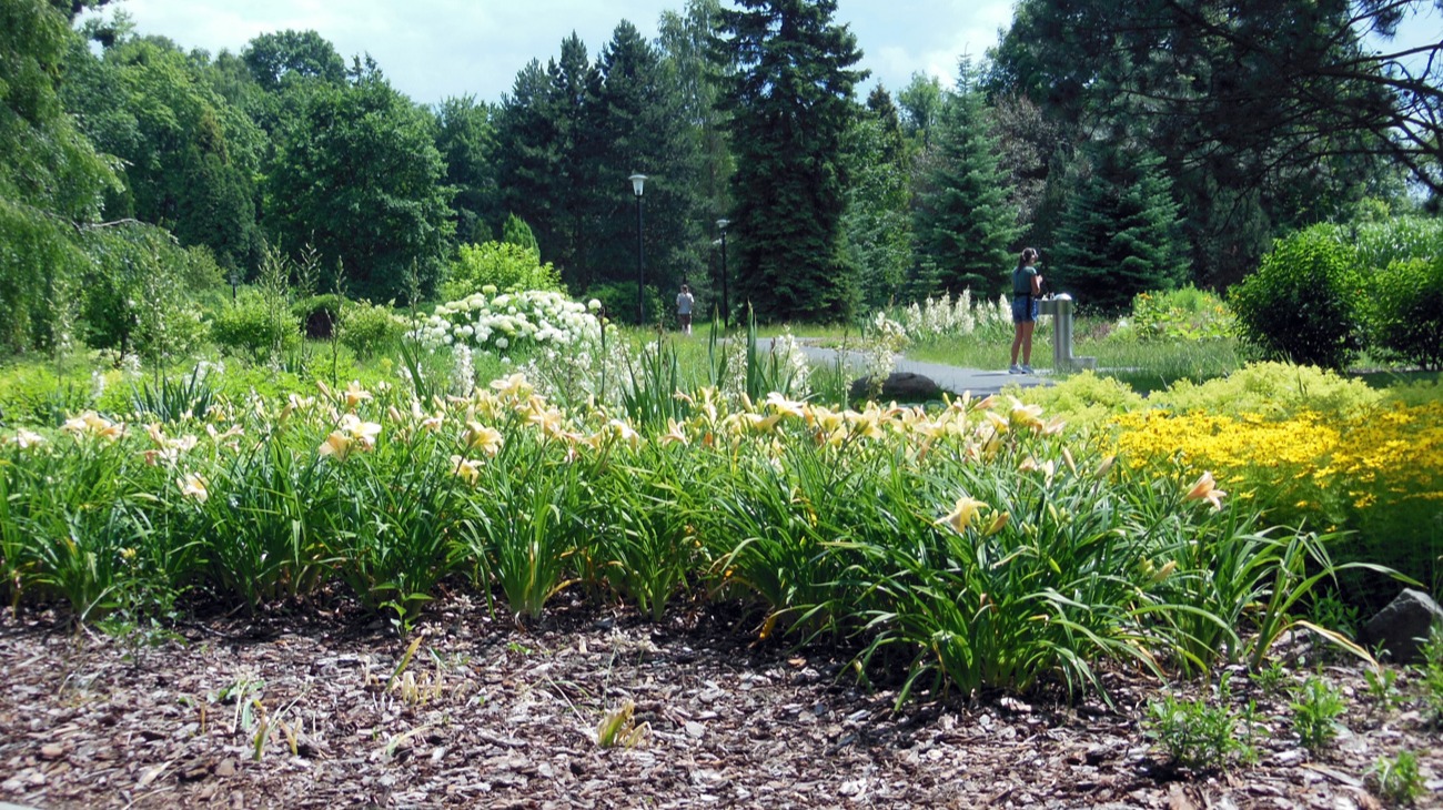 The bike and I are almost fit, so let's go, but not crazy - My Actifit ...