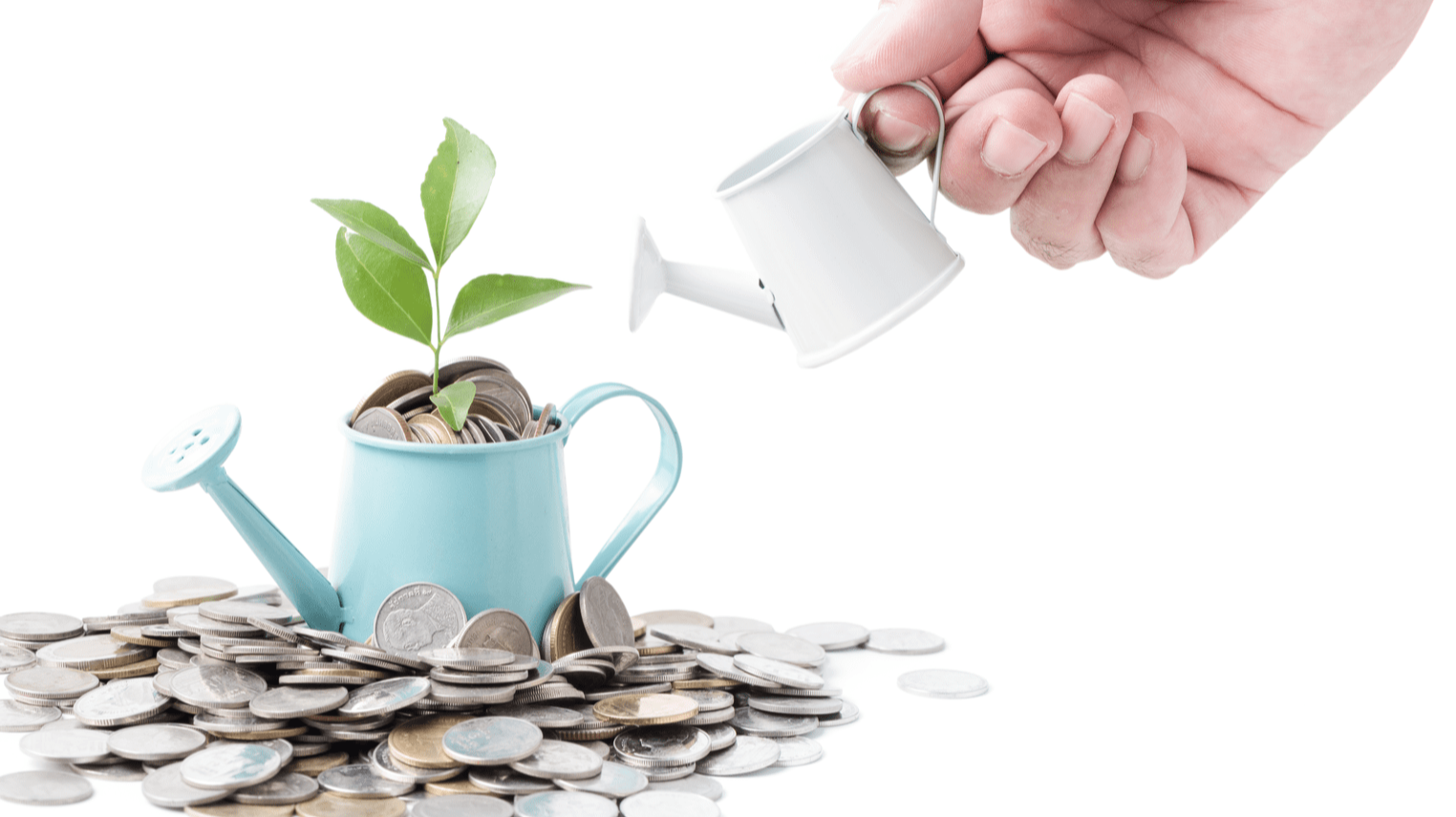 Small cryptocurrencies that performed better than Bitcoin so far in 2020