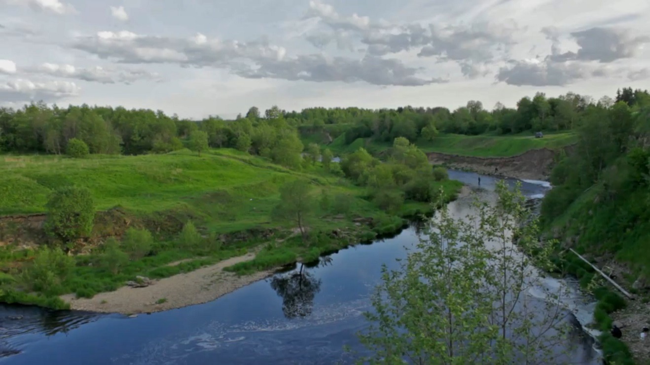 The flow of life. Aesthetics of nature