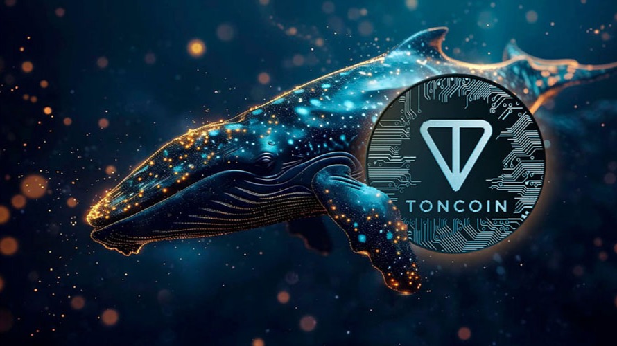 The price of ton coin is ready to explode, the whales are in the game!