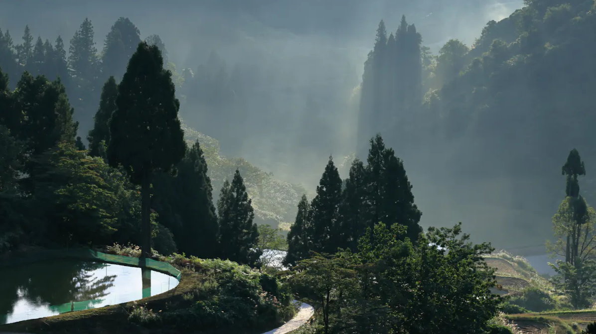 Yamakoshi Village Raising Funds through 1700 Digital Citizen NFTs