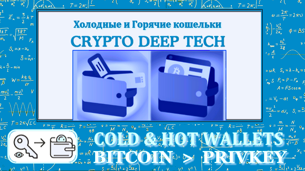 Cold Wallets and Hot Wallets how to find vulnerabilities and eliminate various attacks on the ...