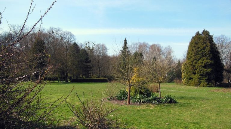 Today is the first day of astronomical spring - a long walk in the park ...