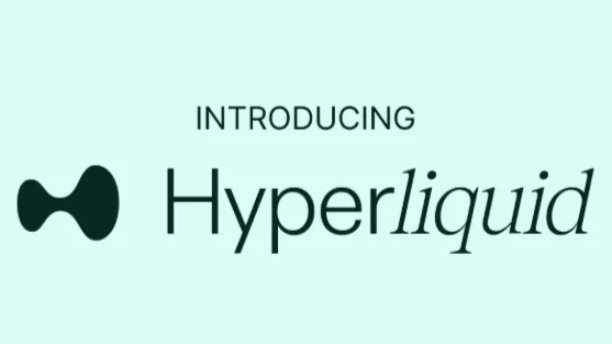 HyperLiquid: Easy Step-by-Step Guide to Get Funds