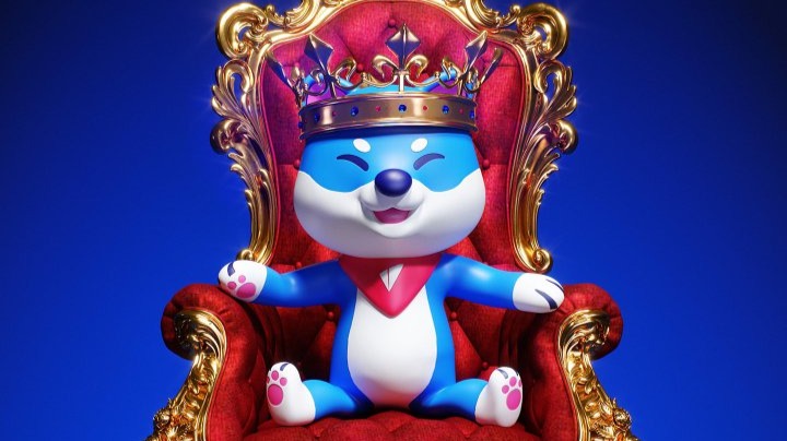 Actualización del proyecto de ENERO/2023 - Vita Inu (VINU)