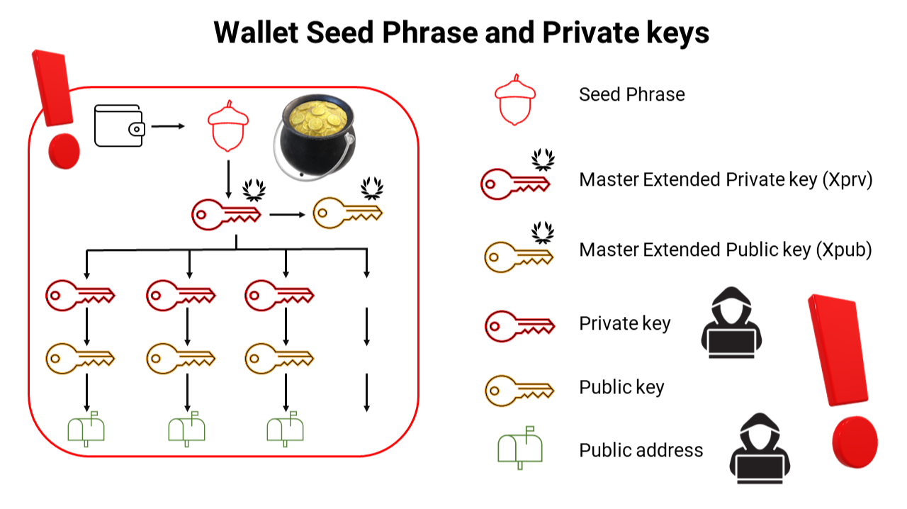A Costly Mistake - Why Protecting Your Seed Phrase and Private Keys Matters