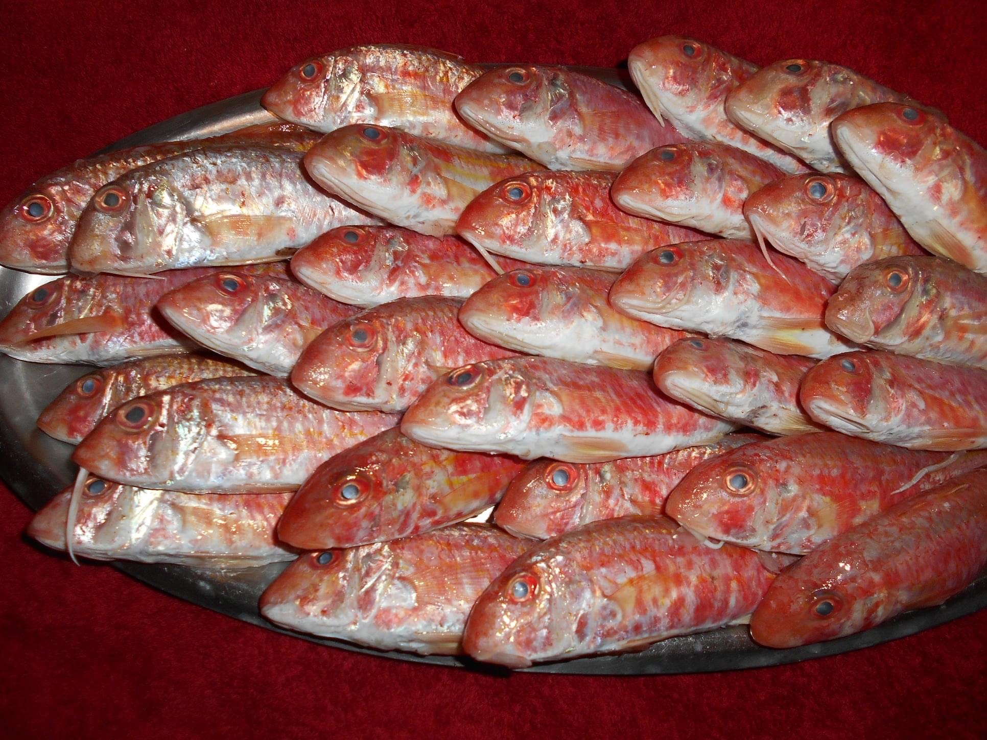 Foodbook #576 Red mullet at the oven