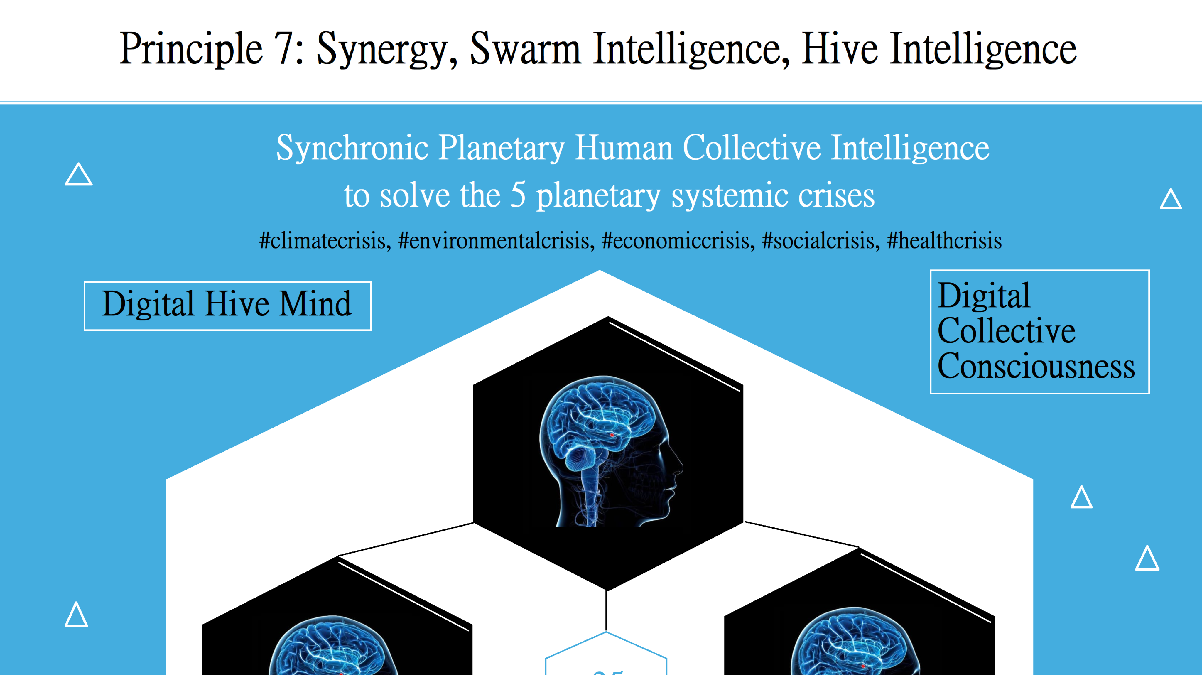 Principle 7: Synergy, Swarm Intelligence, Hive Intelligence (Hive mind ...