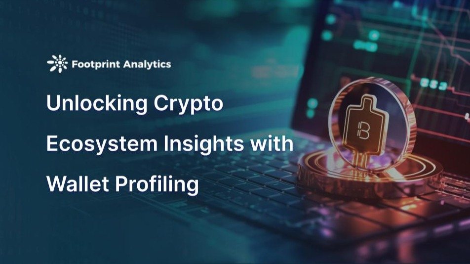 Unlocking Crypto Ecosystem Insights with Wallet Profiling
