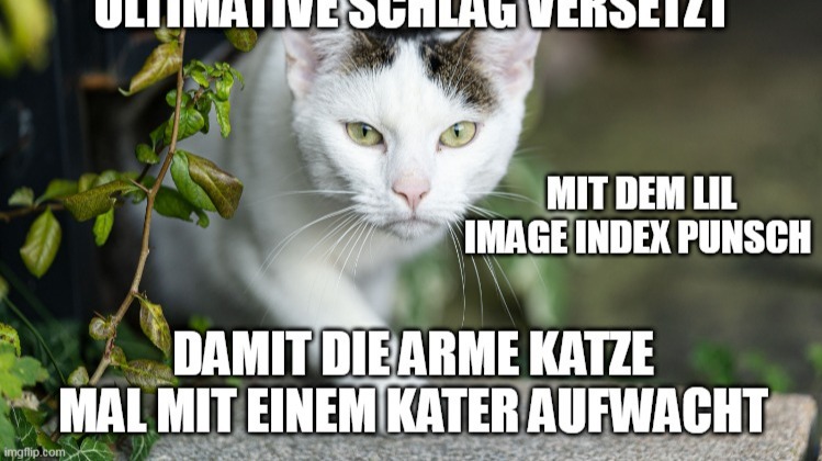 Erster GmbH-Meme-Contest auf Hive