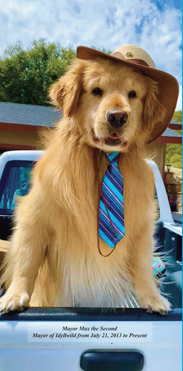 Satire: Mayor Max aims to become the first canine president of the ...