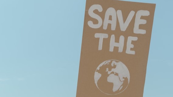 Conservation Victories: Inspiring Success Stories From Around the World