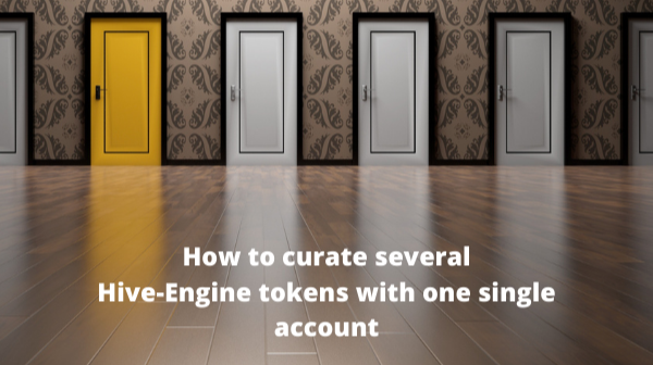 How to curate several Hive-Engine tokens with one single account