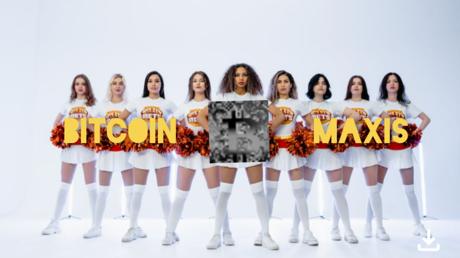 Understanding Bitcoin in Maximalist way