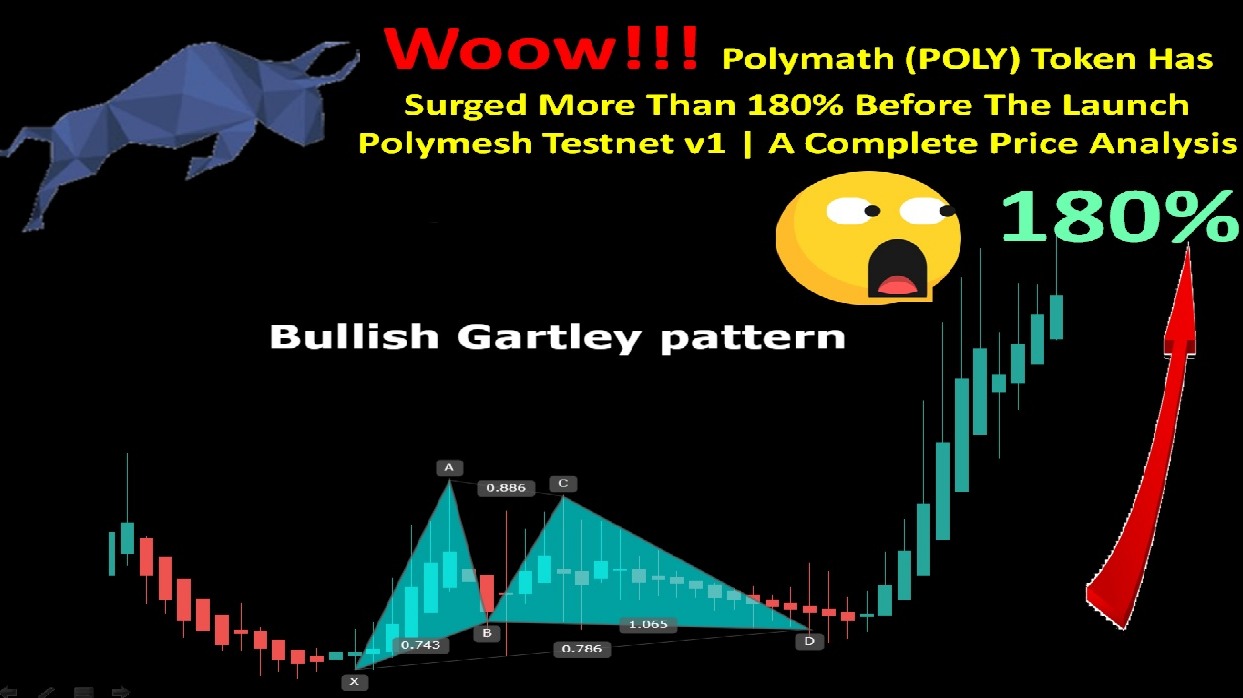 Woow!!! Polymath (POLY) Token Has Surged More Than 180% Before The ...