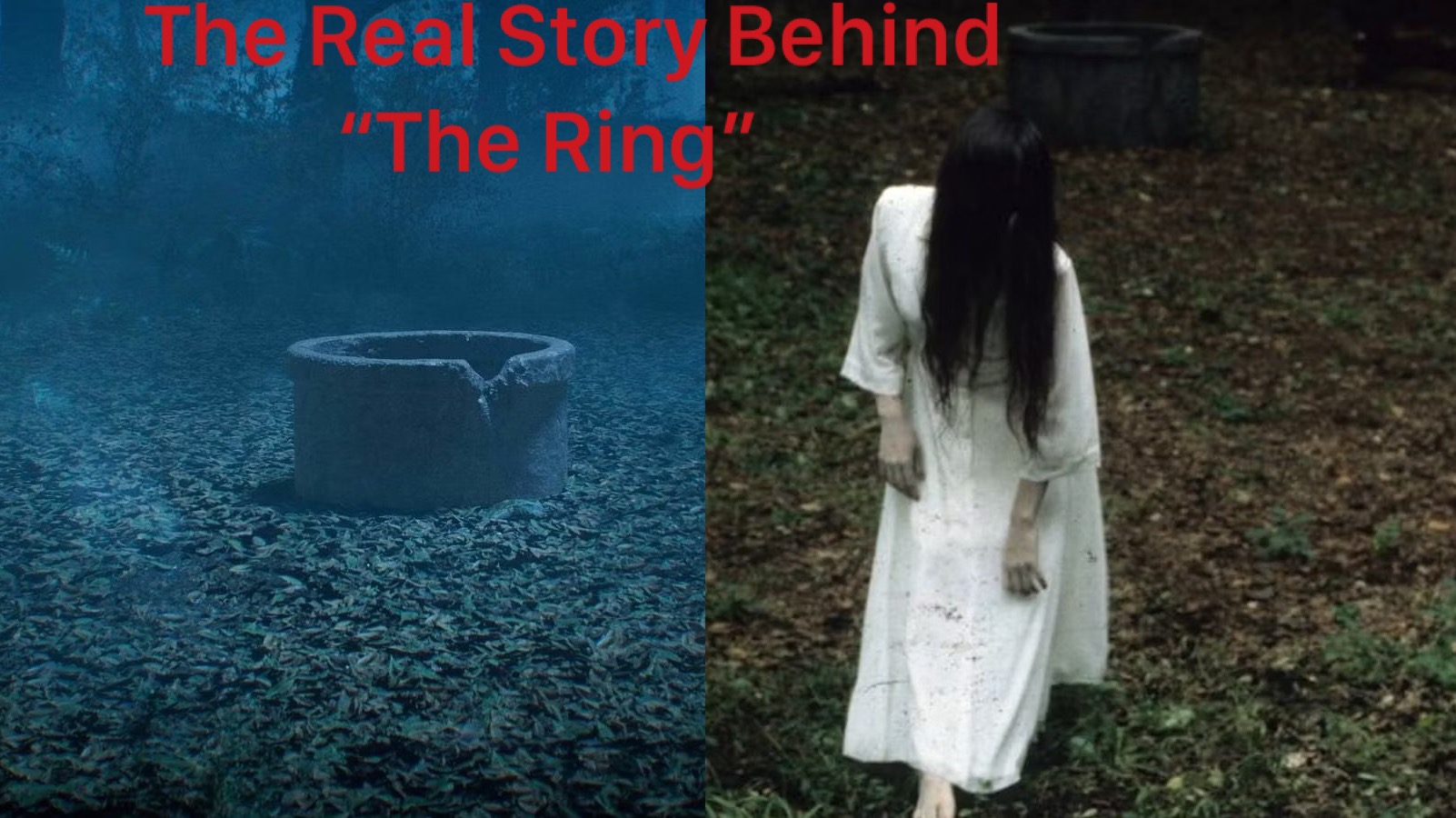 The Real Story Behind “The Ring”: The Okiku Ghost That Inspired Sadako