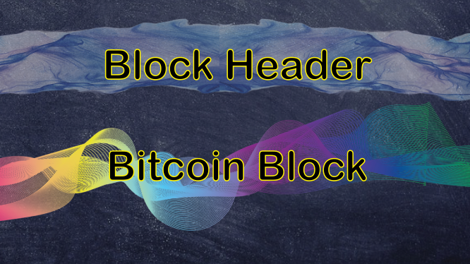 Bitcoin's Block Header