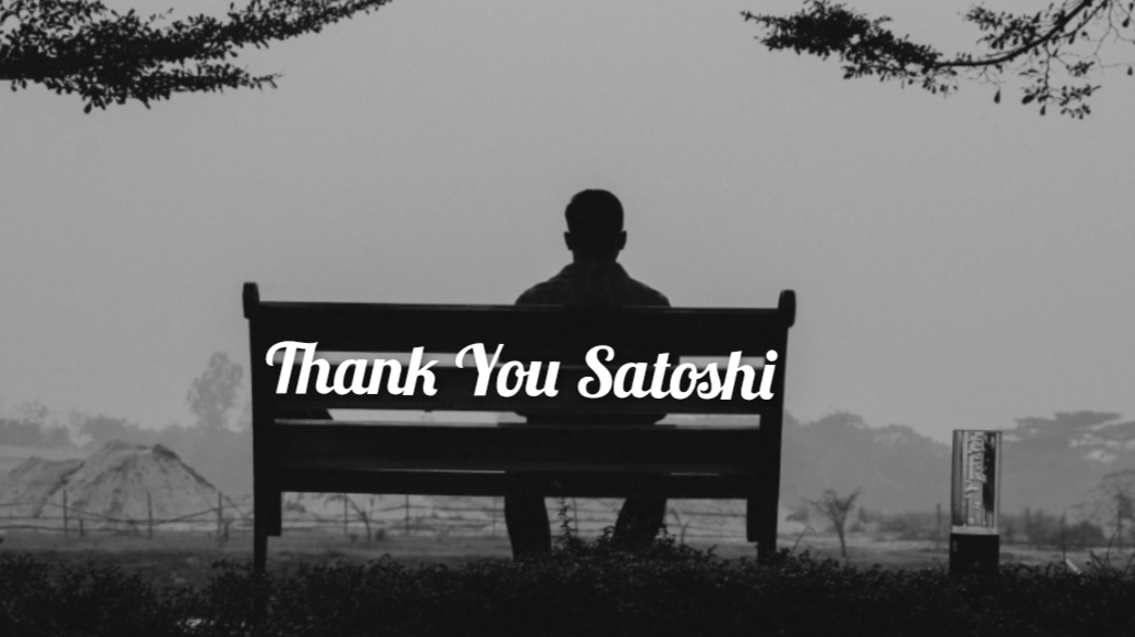 Wikileaks and Satoshi's Final Message